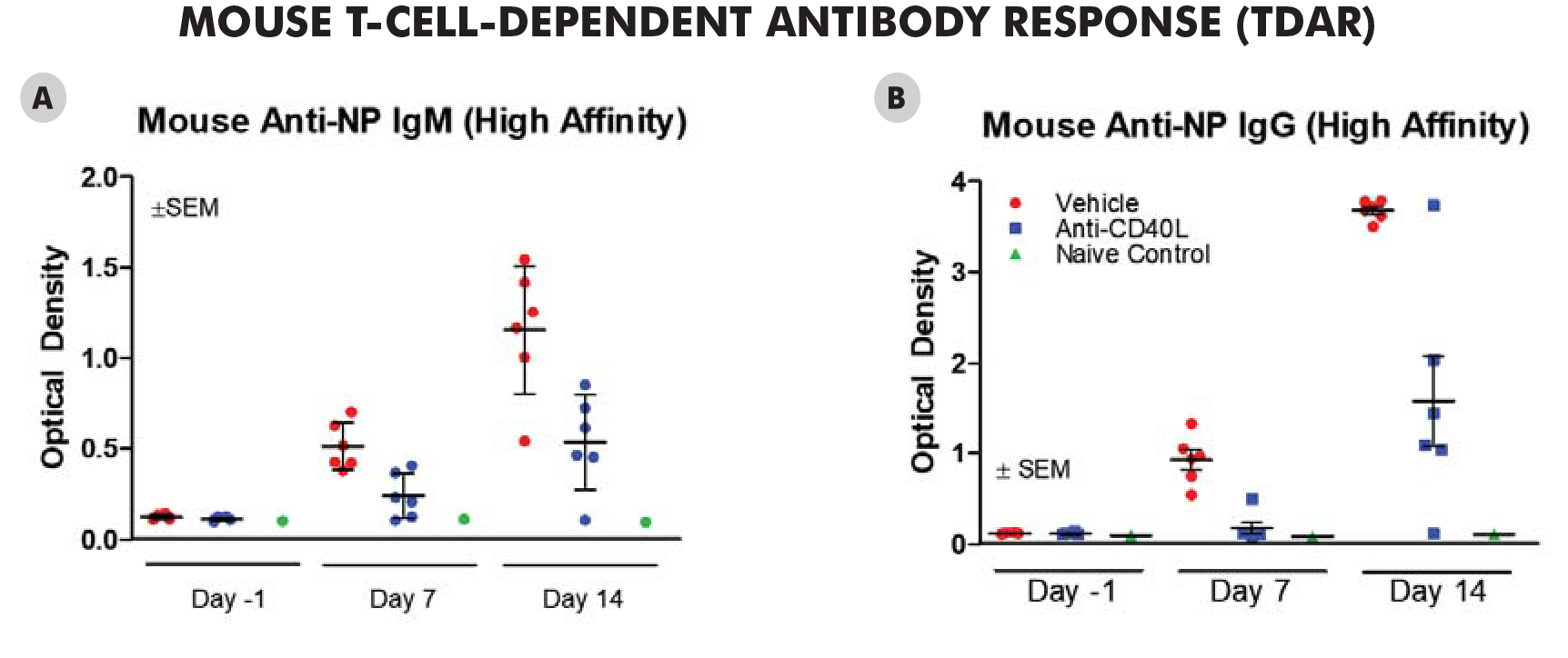 Autoimmune Disorders - Biomere