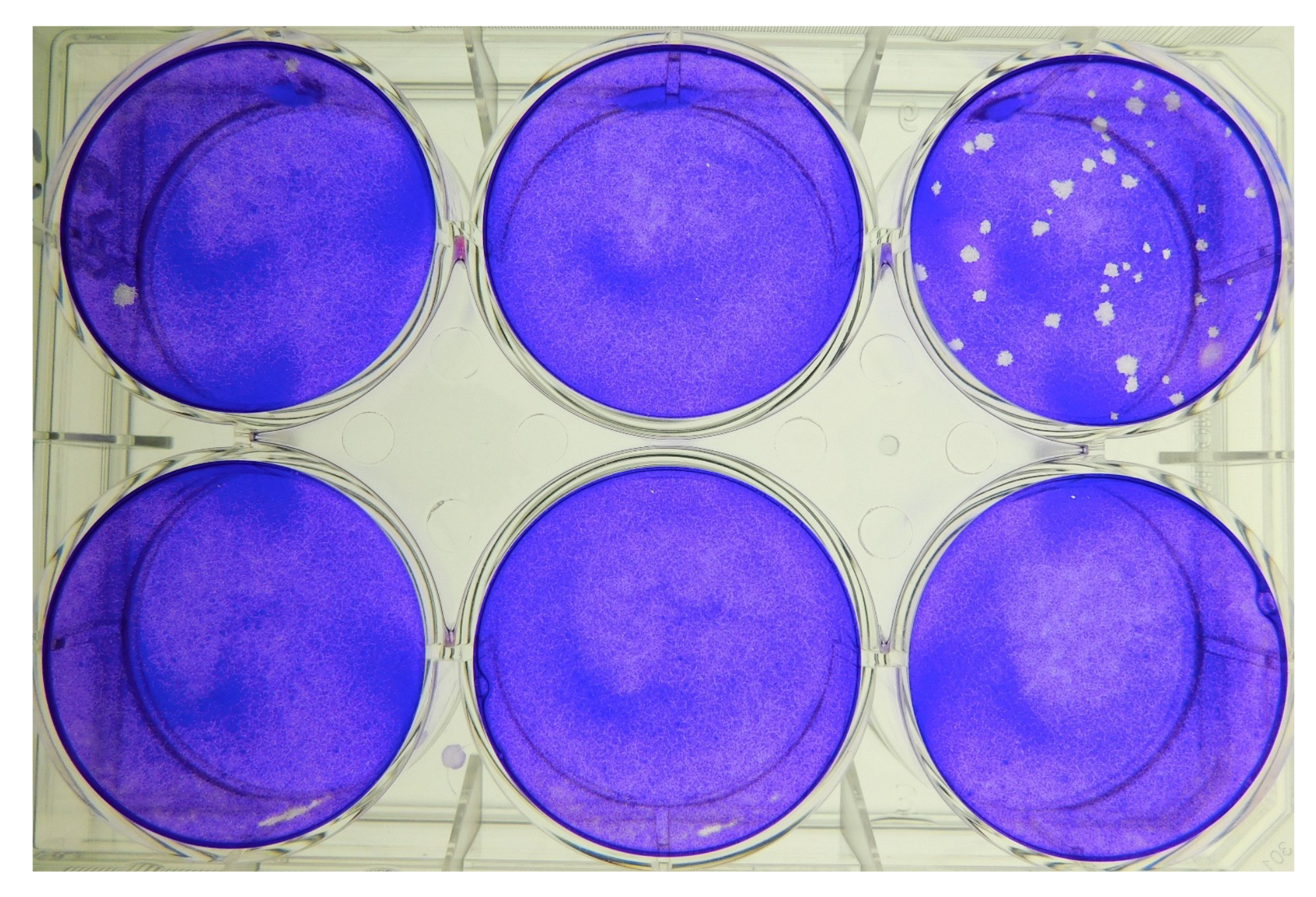 Laboratory Sciences - Biomere